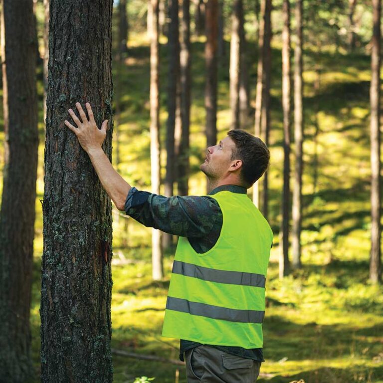H2F Treatment True Blue Timber